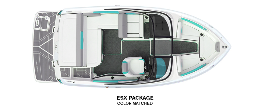 Regal Boats 19 Surf en vente à Chicoutimi - Martial Gauthier Loisirs